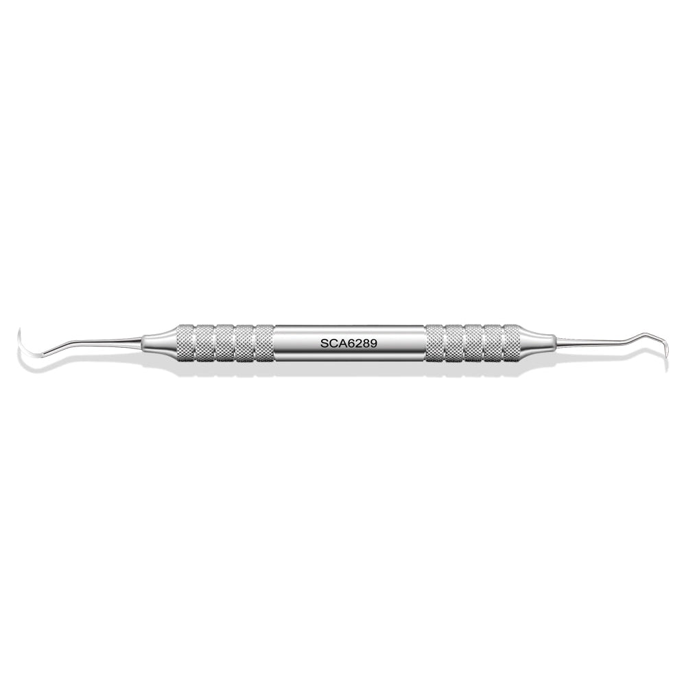 SCA6289 - Anterior Scaler #289 | (H5 / Jaquette 1S) — Karl Schumacher ...